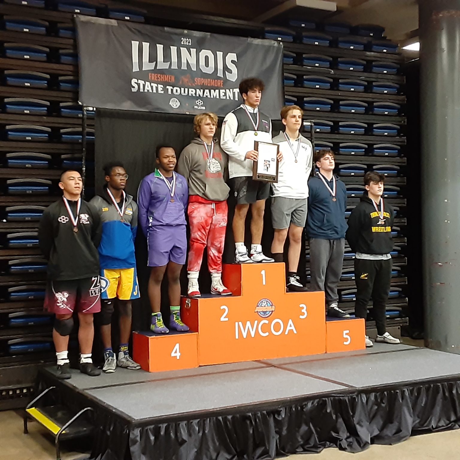 Warren Township has two champions, Lincoln-Way East five medal winners ...